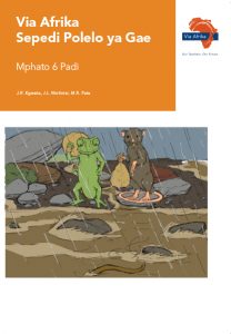Via Afrika Sepedi Home Language Grade 6 Reader - Via Afrika
